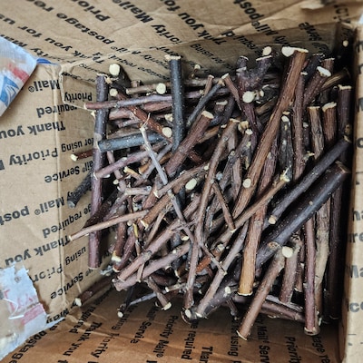 Ultimate Chew Toy Collection. Whimsy's Menagerie Original Design Chew ...