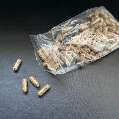 Arti Pods for Aquarium and Terrarium Use - Etsy