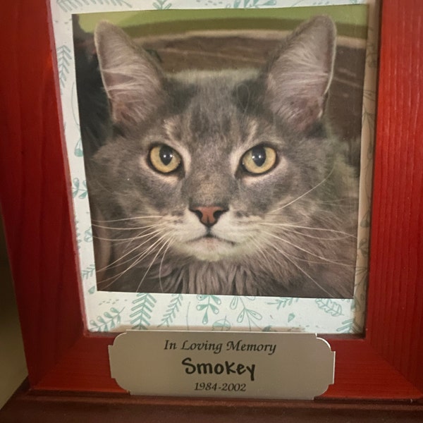 Fancy Silver Engraved Plate - Metal Name Sign - Picture Frame Plate ...