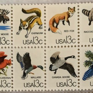 SMOKEY BEAR Forest Fires FIREFIGHTING 1984 20c Gray Postage Stamp Free ...