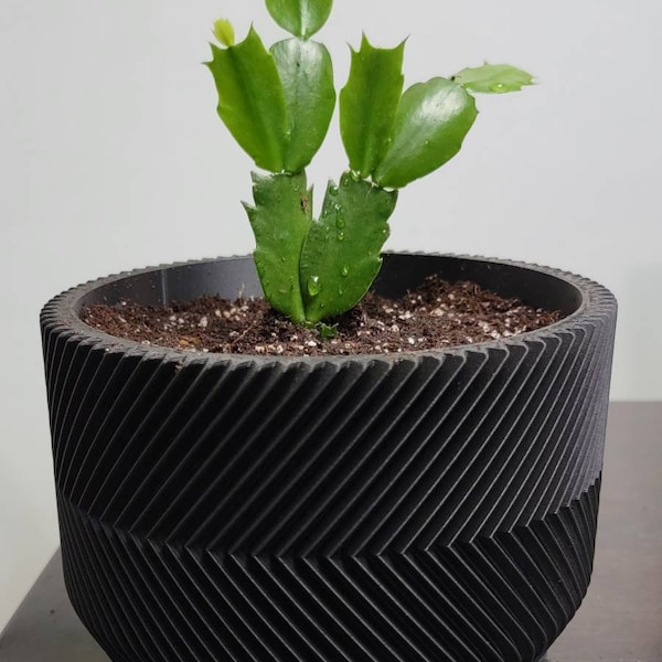 The Estrella Planter in Dark Green - Drainage Hole and Tray - Modern ...