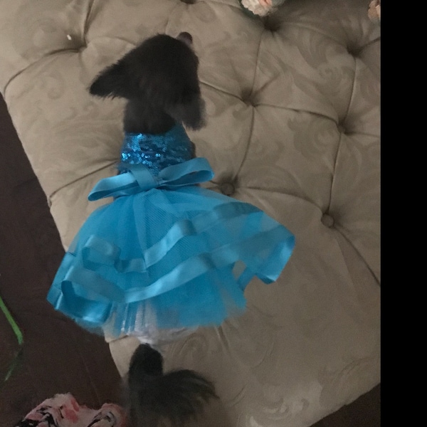 Dog Dress Turquoise Sequinned Tu Tu Party Dress for Small Breed Dogs ...