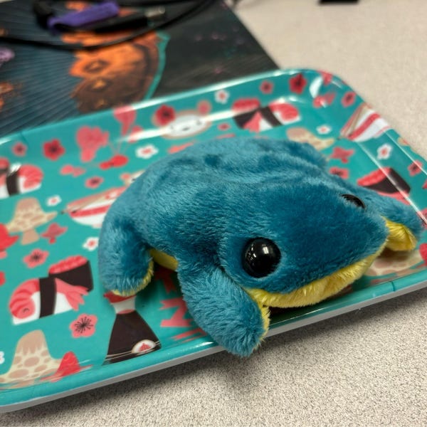 Choose Your Color Combo Frog Plush// Pocket Frog Plushie// Bean Bag ...