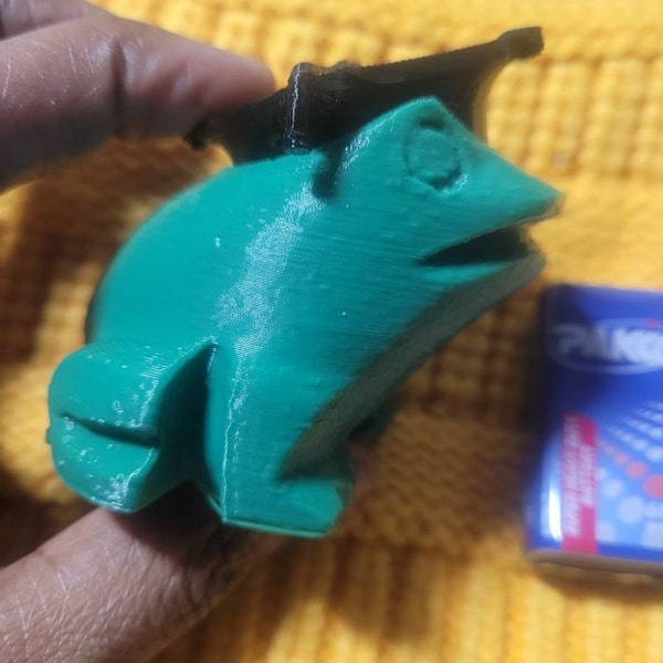 Graduation Frog / 3D Printed - Etsy