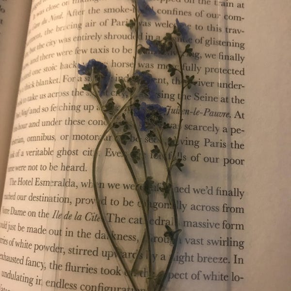 Forget Me Not Bookmark | Real Dried Flowers | Gift for Reader ...