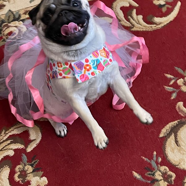 Cupcake Dog Harness Dress, Birthday Dog Dress, Tutu Dog Dress, Dog ...