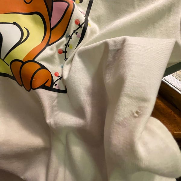 Comfort Colors® Custom Bestie Shirt, Best Friend Shirt, Bestie Tee ...