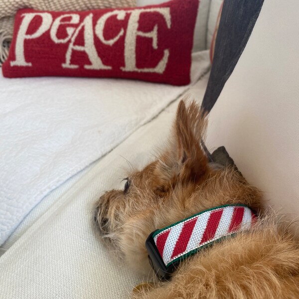 Saint Patrick's Day Shamrocks Dog Collar, Leash, or Matched Set....also ...