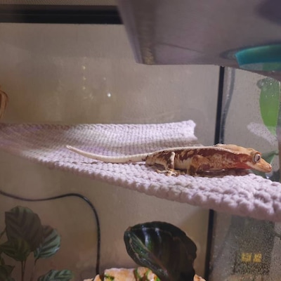 Leopard Gecko Hammock, Small Reptile Hanging Hammock Ledge, Crochet ...
