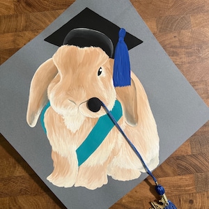 Hand-painted Graduation Cap Topper Customized Graduation Cap - Etsy