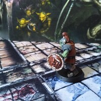 Fimir Shaman, Warrior HQ Dungeon by Minis3d & Enfenix - Etsy