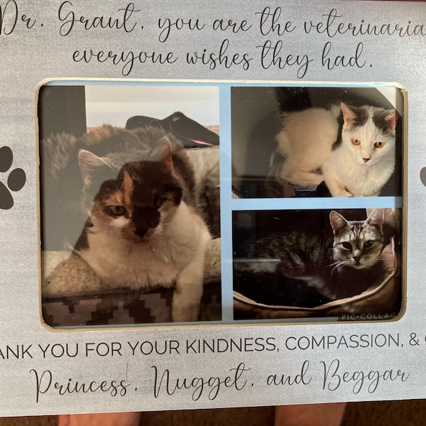 Personalized Veterinarian Picture Frame, Veterinarian Thank You Gift ...