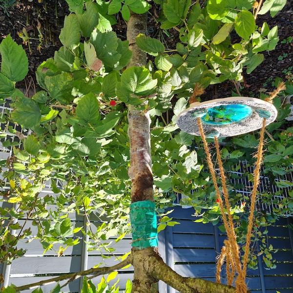 XL Wildbienen Nisthilfe "Wegerich & Insekten" mit ca. 12 cm Seitenlänge ...