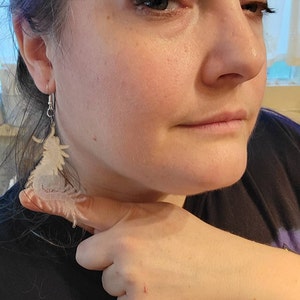 Centipede Scolopendra Centipedes Invertebrates Arthropod Chilopoda Drop ...