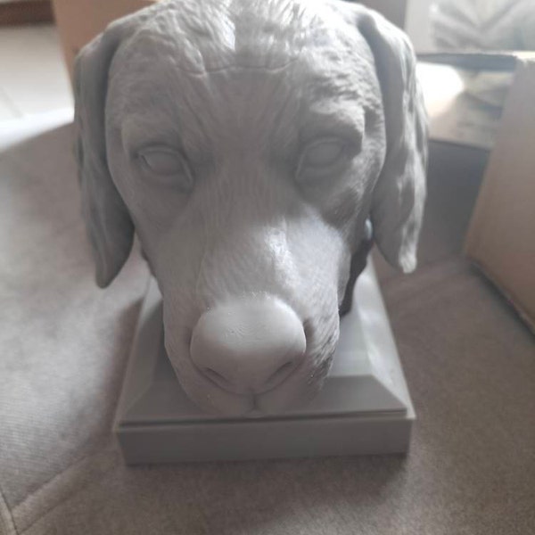 Paintable American Bully Bust DIY American Bully Sculpture Kit for ...