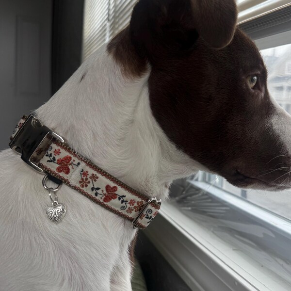 UGLY Bells for Pet Collar Chipped Jingle Bell for Cat Collar Character ...