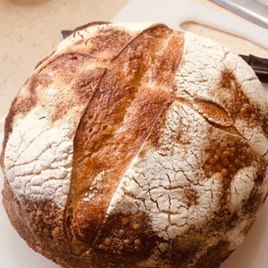 Italian Sourdough Starter, From: Ischia Island, Southern Italy. - Etsy