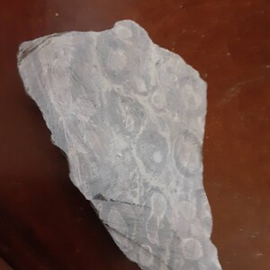 Preform Star Light Root Beer Banded Brazil Agate Cab Slab | Etsy