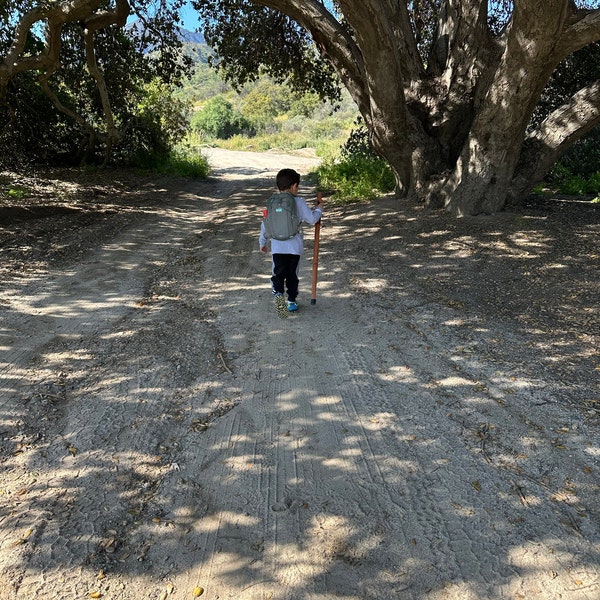 Standing Black Bear, Natural Earth Tones Poplar Wood Walking Stick ...