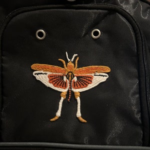 Embroidered Insect Patches Butterfly Beetle Moth Scarab Cicada Maybug ...
