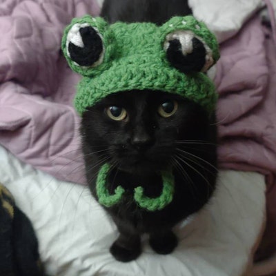 Frog Hat for Cats, Funny Feline Frog Accessory / Costume, Frog Hat With ...