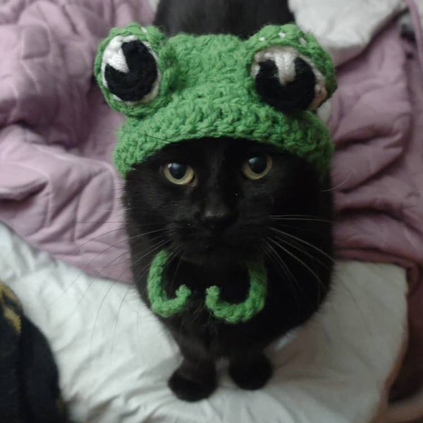 Frog Hat for Cats, Funny Feline Frog Accessory / Costume, Frog Hat With ...