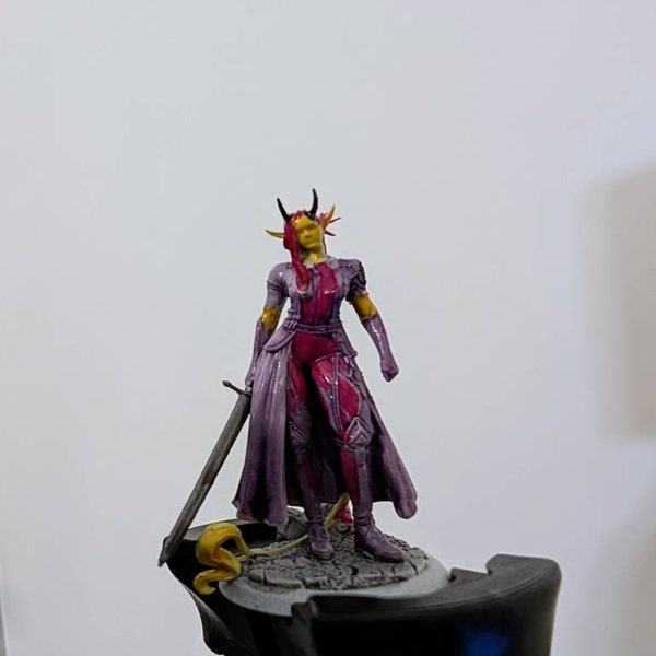 D&D Human Fighter/paladin | Standard Bearer | 3D Printed Resin ...