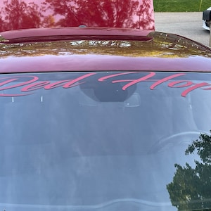 Wile E. Coyote Splat Image in Road Runner Decal - Etsy