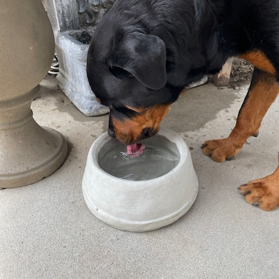 Bigfoot Feet, Sasquatch Steppingstones, Concretestatues, Big Feet ...