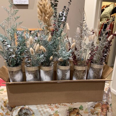 Preserved Dried Caspia Misty Green - Etsy