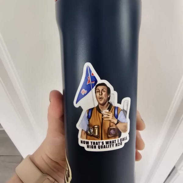 Bobby Boucher H2o Waterboy Vinyl Sticker or Magnet (matte Finish) - Etsy