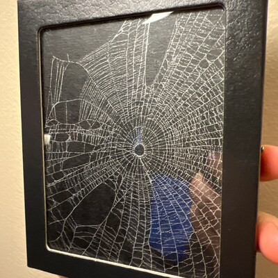 Real Framed Preserved Orb Weaver Spider Web USA - Etsy