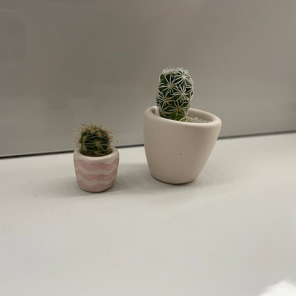 Copa Plant Propagation Vessel / Handmade Ceramic and Glass//plant ...