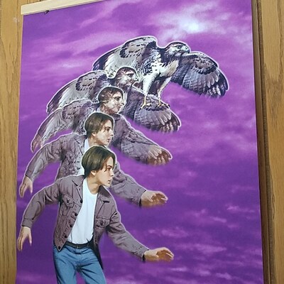 ANIMORPHS 29: THE SICKNESS Art Print Signed and Numbered by - Etsy