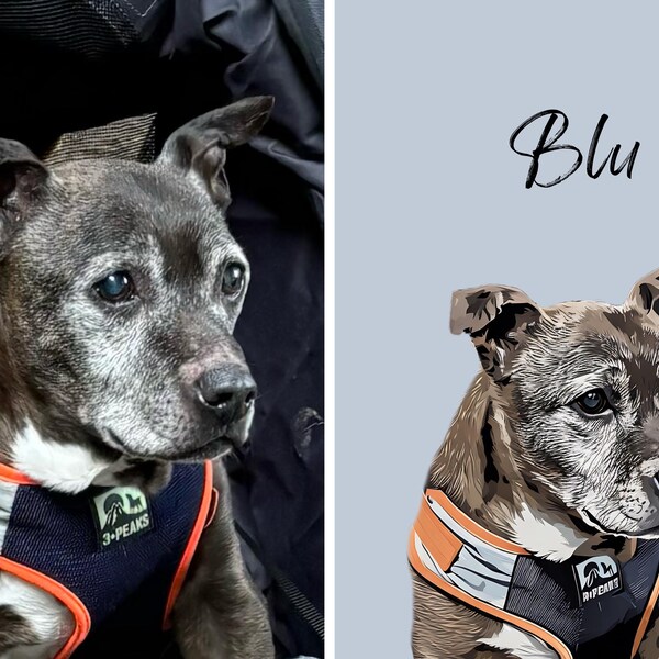 Pet Portrait, Digital Custom Dog Portrait, Pet Memorial, Dog Portrait ...