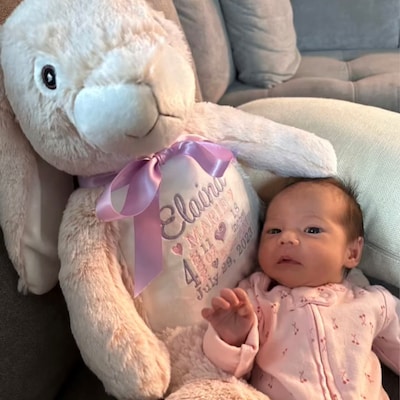 Personalized Baby Gift, baby Cubbies Munchkin Pie the Rabbit, Birth ...