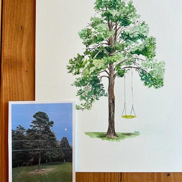 Watercolor State Tree of Virginia, State Tree of Missouri, Flowering ...