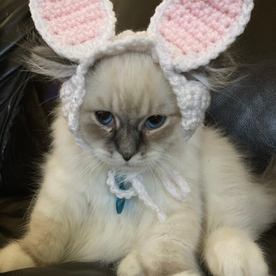 Bunny Rabbit Ear Hat for Cats - Etsy