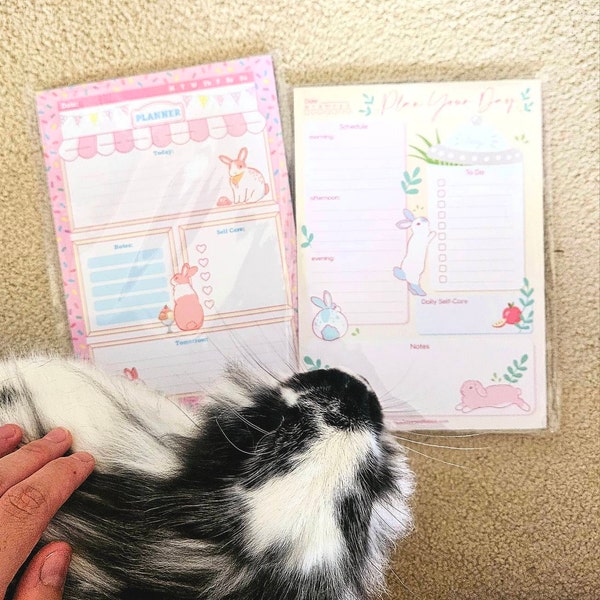 Ice Cream Shop Rabbit Memo Pad, A5 Planner, Rabbit Stationery, Bunny ...