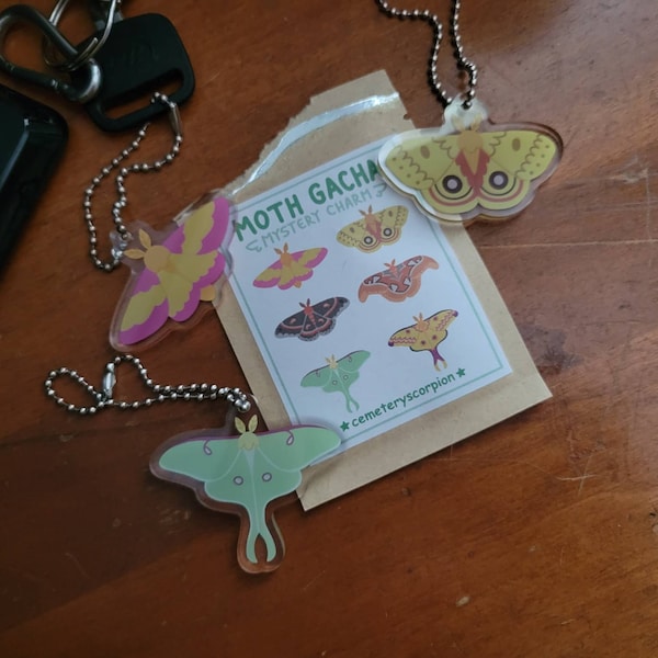 Moth Gacha Mystery Acrylic Charms - Etsy