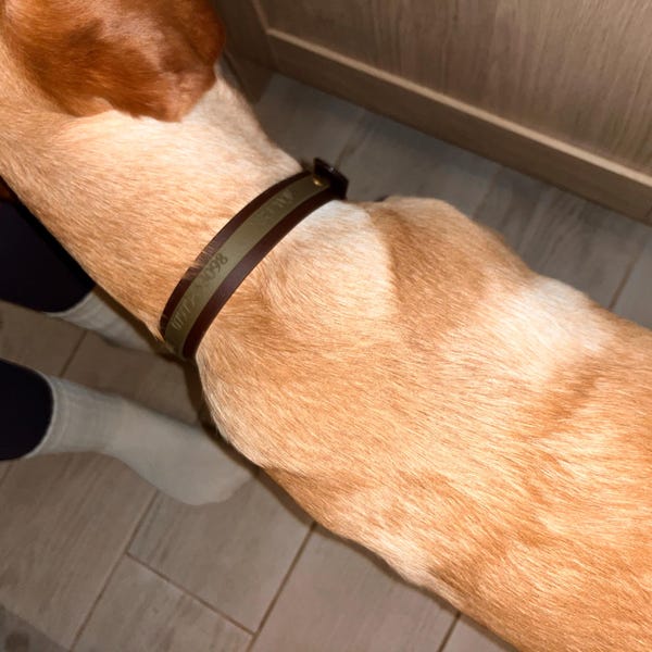 Khaki Waterproof Dog Collar | Personalised Biothane | Custom Print ...