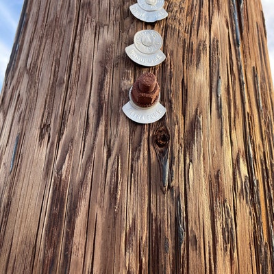 Evil Magnetic Bolt Micro Nano Cache Container Geocache Geocaching GPS ...