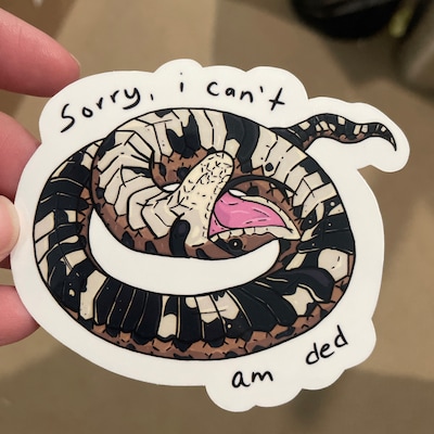 Hognose Snake Dramatic Playing Dead Funny Reptile Vinyl Sticker - Etsy