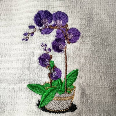 Banjo Machine Embroidery Design. Musical Instrument Embroidery Design ...