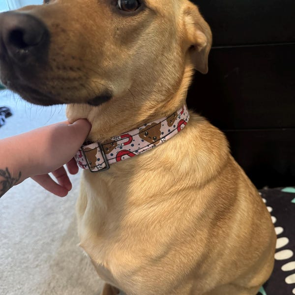 Sewing PDF Pattern Instructions Pet Dog Collar 5 Sizes Tutorials ...