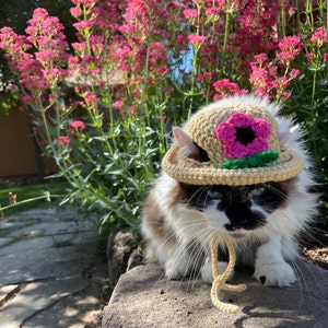 Pink Flower Summer Hat Cat Hats Cat Costumes Cat Accessories - Etsy