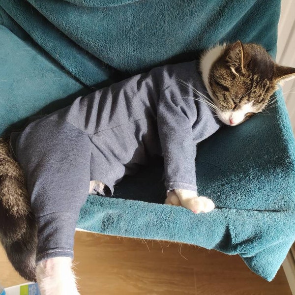 Sphynx Cat Bodysuit Sewing Pattern PDF – Cat Pajamas & Recovery Suit - Etsy