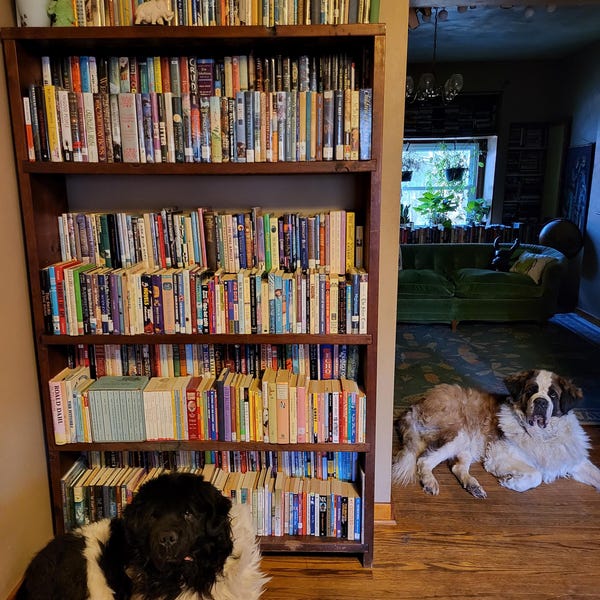 Einstein "one Stone" Tile Set | Hat Tile Set | Aperiodic Tessellating ...