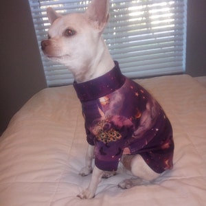 Kati Lou Dog Dress and Dog Blouse Sewing Pattern 1551 Dog - Etsy