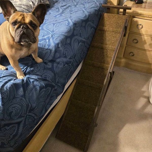 12x56 Adjustable Ramp 2 Side Rails Carpet Traction Bumps Small to ...